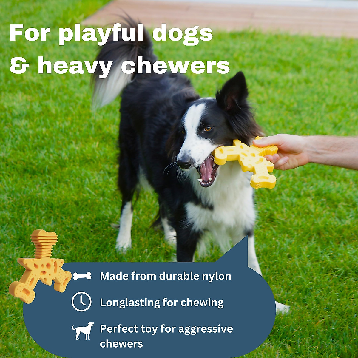 ta-stories Chew Toy for Aggressive chewers/Large Dogs- Irrisitable Cheese Flavor, Durable & Long Lasting, Designed for midium/Large Size Dogs, Verified by Real Dogs