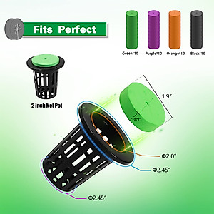 Rlioy 40 Pack Cloning Collars Inserts Premium Grade Foam, Fits 2 Inches Net Pots, for Hydroponics, Cloning, DIY Cloner and Clone Machines (40 Pack)