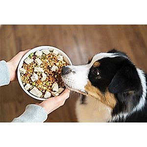 Dr. Harvey’s Veg-to-Bowl Pre-Mix Dog Food, Grain Free for a Whole Food Diet (5 pounds)