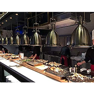 Commercial Food Warmer Stainless Steel Buffet Heat Lamp, Cafeteria Heating Lights Height Adjustable, 360mm