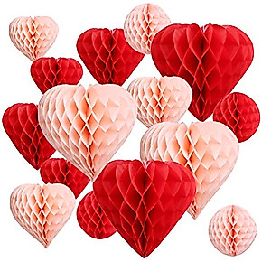 UNIQOOO 16 Pack Red Blush Pink Party Decoration Pom Pom | Heart & Ball Tissue Paper Honeycomb | Perfect for Party Decor, Wedding, Valentine's Day, Engagement, Bridal Shower, Baby Shower, Birthday