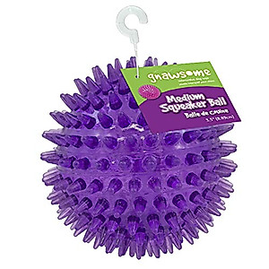 Gnawsome Medium Squeaker Ball Dog Toy, Medium 3.5", Colors will vary, All Breed Sizes
