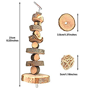 S-Mechanic Bunny Chew Toys Natural Apple Wood Small Animal Chew Toys for Rabbits Chinchilla Hamsters Guinea Pigs Gerbils (Pack 1)