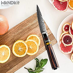 WKNDKIT Damascus VG-10 Stainless Steel Small 3.5 inch Paring knife japanese Kitchen knife with wood Handle, Super Sharp, Fancy Fruit and vegetable Knife