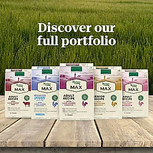 Nutro Max Adult Large Breed Dry Dog Food with Farm-Raised Chicken, 36 lb. Bag