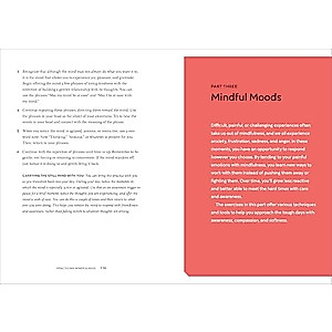 Practicing Mindfulness: 75 Essential Meditations to Reduce Stress, Improve Mental Health, and Find Peace in the Everyday