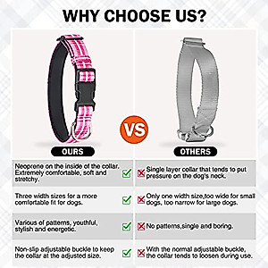 DILLYBUD Floral Dog Collars for Puppy Small Medium Large Dogs, Spring Flower Fancy Patterns Female Male Pet Collar, Strong Buckle Adjustable Cute Padded Basic Collar for Girls Boys Dogs