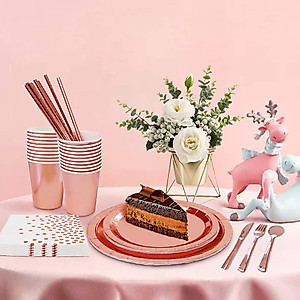 Rose Gold Birthday Party Favors for Women Rose Gold Plates and Napkins Party Supplies,Disposable Paper Plates and Cups Set for First Day of School,Bridal Shower,Baby Showers,Christmas, Serves 20