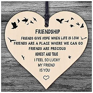 Birthday Gifts for Women Friendship Funny Relationship Gifts Unique Inspirational Personalized Small Plaques Under 10 Dollars Presents for Men Women Her Female BFF Girls