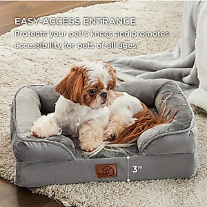Bedsure Cat Beds for Indoor Cats - Washable Bolster Dog Sofa Beds for Extra Small Dogs, Supportive Foam Pet Couch Bed with Removable Washable Cover, Waterproof Lining and Nonskid Bottom, Grey