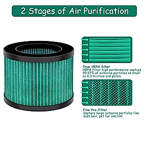 Asheviller MK01 MK06 Replacement Filter, Compatible with AROEVE MK01 MK06 and Kloudi DH-JH01, Intelabe EPI080/EP1080& Elechomes EPI081/EP1081 Air Purifier, Pet Dander Version, 2Pack (MK01 Green)
