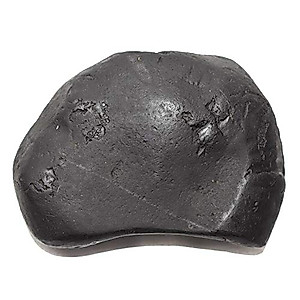 Rudrakshguru Krishna Shaligram/Madana Gopala Salagram - Gandaki River Nepal