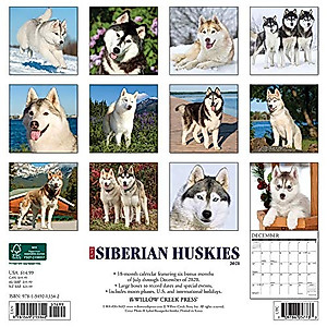 Just Siberian Huskies 2021 Wall Calendar (Dog Breed Calendar)