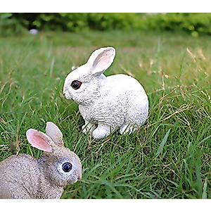 phnam garden, Rabbit Courtyard Decoration Resin Statue Yard and Garden, Indoor and Outdoor Decoration Sculpture,Fairy Garden Resin Statue