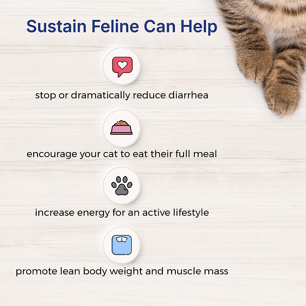 EMERAID Sustain Feline Recovery Food for Cats 400 g