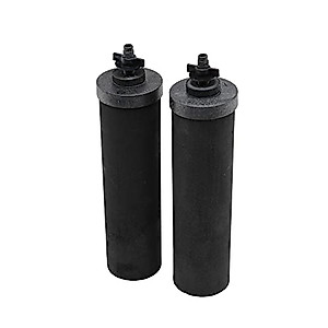 Berkey Light Gravity-Fed Water Filter with 2 Black Berkey Elements and 2 Berkey PF-2 Fluoride and Arsenic Reduction Elements