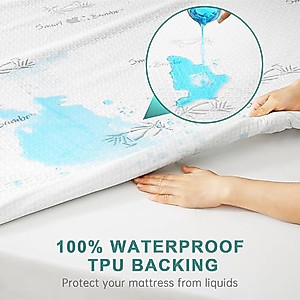 HUXMEYSON Queen Mattress Protector, Fully Waterproof Mattress Protector, Breathable and Noiseless Mattress Cover with 8-21 Deep Pocket, 60 x 80 Inch