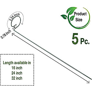 Greenpeas Plant Stake Support - 3-Inch Diameter Steel Support Stands with Green Plastic Coating - Gardening Brace Sticks for Single Stem Flowers, Amaryllis, Tomatoes, Peony, Lily - 16" Tall, 5 Pieces
