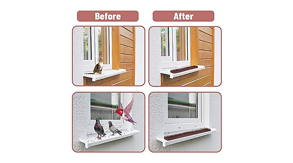 Buy Anti Bird Spike Strips Pack - 17 Feet Fence & Roof Deterrent