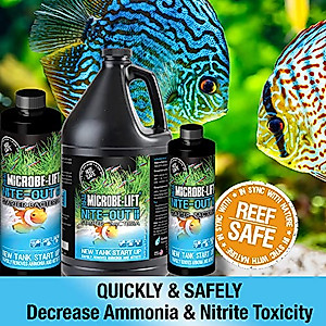 MicrobeLift NiteOut II (16 oz)