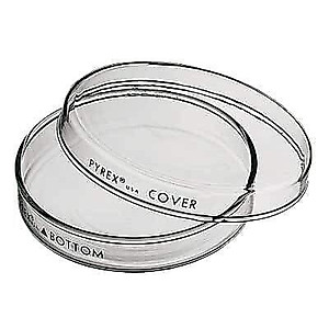 Pyrex 3160-100 Brand 3160 petri dish; 100 x 10 mm, pack of 12