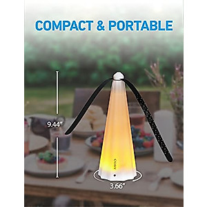 COBY Fly Repellent Fan, Outdoor & Indoor Fly Fan, Eco-Friendly Portable Fly Catcher with Soft-Touch Blades