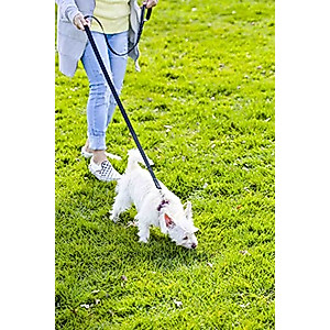SUNNQ Reflective Dog Leash for Small Dogs, 6 FT (5/8 inch X 6FT, Black)