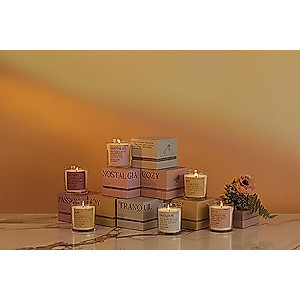 Paddywax Scented Candles Mood Collection Fragrant Boxed Candle in Glass Vessel, 8-Ounce, Cozy
