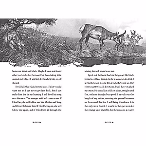 A Wolf Called Wander (A Voice of the Wilderness Novel)