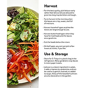 Burpee Heatwave Blend Lettuce Seeds 1000 seeds