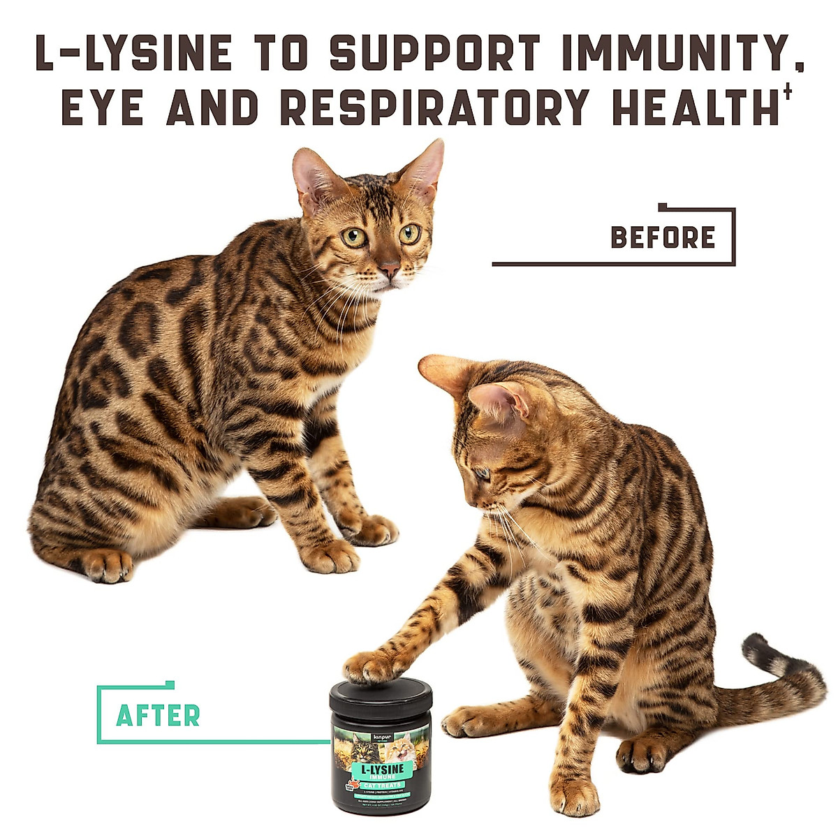 Lysine Cat Treats - Cat Immune Support - Help Improve Respiratory Health and Eye Function - Enriched with Vitamin B, Calcium, Protein