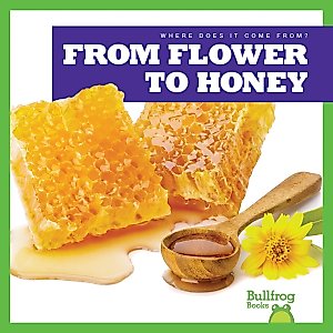 From Flower to Honey (Bullfrog Books: Where Does It Come From?)