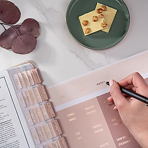 DiverseBee Laminated Bible Tabs (Rose Gold Embossed Lettering), Bible Journaling Supplies, Bible Book Tabs, Christian Gift, 66 Bible Tabs Old and New Testament, Includes 11 Blank Tabs (Pearl)