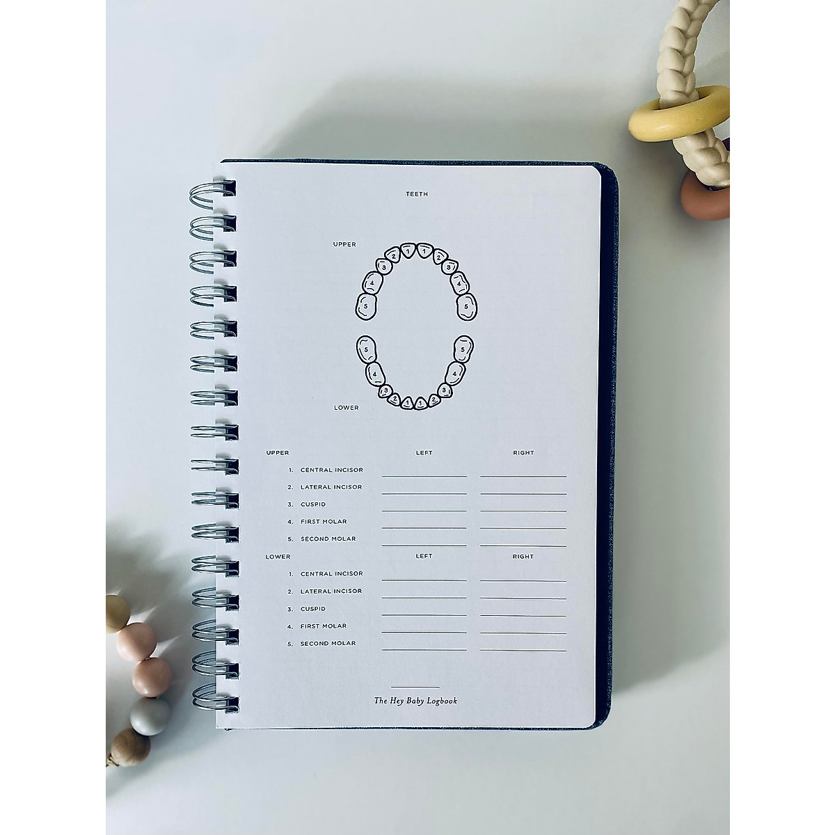 Baby's Daily Logbook, Breastfeeding Journal, Track your Infant’s Feedings, Sleep, and Diaper changes. Plus Bonus Sections including: Growth Charts, Illness Charts, Milestones, Teeth Chart, Doctor appointment notes, and Storage Pocket.