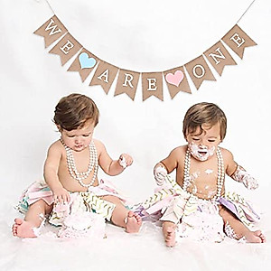 Twins Banner for 1st Birthday - We Are One Banner, Twins Birthday Party Banner, Twins Frist Birthday Decor, Girls Boys First Birthday Decoration,Photo Prop