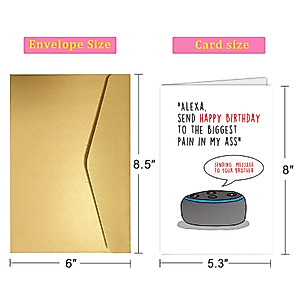 DASLET Funny Birthday Card for Brother, Joke Happy Birthday Greetings Cards for Brother, You Are The Best Brother (Alexa)