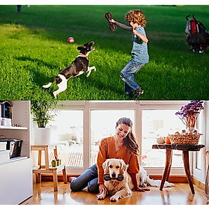 AUSCAT 2Pcs Dog Squeaky Chew Toys, Indestructible Dog Toy for Aggressive Chewers, Dumbbell Shape, Interactive Dog Toys for Large Medium Dogs, Rubber, Blue and Black