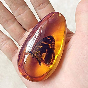 Garneck Crystal Amber Fossil with Insects, Inside Specimens Samples Stones Oval Pendant Collection Home Decorations Education Gift (Random Pattern)