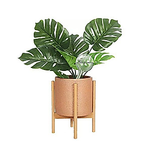 Gddochn 6 Pack Plant Self-Watering Bulbs,Clear Garden Watering Globes,Automatic Water Device for Plants,Indoor Outdoor Decor