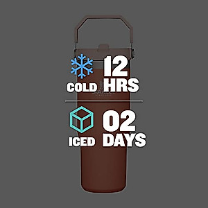 Stanley IceFlow Stainless Steel Tumbler with Straw, Vacuum Insulated Water Bottle for Home, Office or Car, Reusable Cup with Straw Leakproof Flip (Grapefruit)