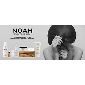 Noah Hair - 1.5 Purifying Shampoo with Green Tea and Basil - Organic Shampoo - With Green Tea Extract and Essential Oils– Natural Shampoo - Dandruff Shampoo - Hair Care for Natural Beauty - 8.5 fl.oz
