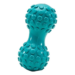 Gaiam Restore Dual-Zone Back Massage Roller Blue
