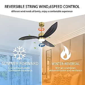 ELEHINSER 64" Wood Ceiling Fan with Lights and Remote Control, 3 Blades 6-Speed Reversible DC Motor Ceiling fan for Kitchen Bedroom Dining Living Room, Black Wood Blades with Gold