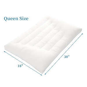 HOMBYS Ultra Thin Pilow for Back and Side Sleepers-Extra Low Profile Design for Cervical Neck Alignment with Side Sleeping Area to Relieve Shoulder Pressure (Queen-18 x30, White)