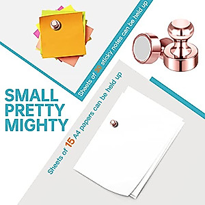 Pack of 24 Rose Gold Refrigerator Magnets Pink Decorative Magnets Small Fridge Magnets Cute Magnets for Whiteboard Office Kitchen Office