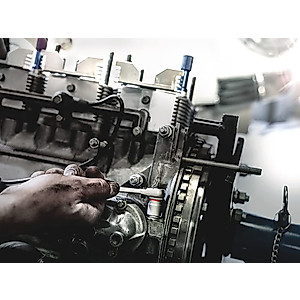 Wera - 5003510001 Zyklop 8790 HMA 1/4" Socket, Hex head 11mm x Length 23mm