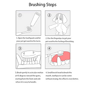 LINGXIYA Pet Dog Toothbrush, Extra Soft Dog & Cat Toothbrushes Dental Cleaning Brushes for Puppy Small Dog and Cat Dogs Teeth Dental Health 2 Pack Kit (White/Green)