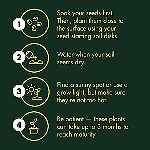 Indoor Garden Vegetable Seed Starter Kit - Rainbow Salad Grow Kit, Non GMO Heirloom Seeds for Planting, Wood Planter Box, Soil, Pots, Plant Markers, DIY Home Gardening Gifts for Plant Lovers