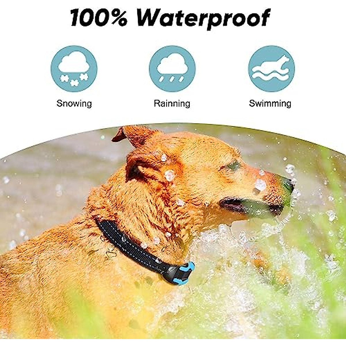 PcEoTllar Electric Fence for Dogs, Rechargeable Underground Dog Fence System, 1 Waterproof Collar Receivers, with 656Ft Underground/Aboveground Boundary Wire, for Large Medium Small Dogs