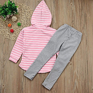 Ritatte Toddler Girl Fall Outfits Striped Hoodie Pants 2PCS Sweatsuit Set Kids Baby Winter Clothes Jogging Suits for 2-6Y (Pink, 110 (4T))